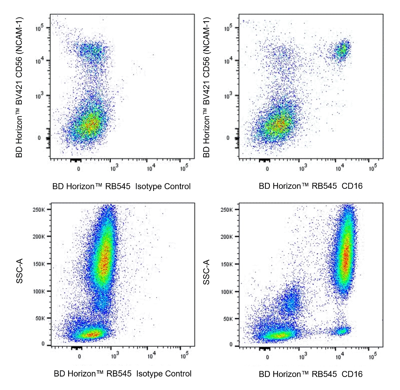 RB545 Mouse Anti-Human CD16