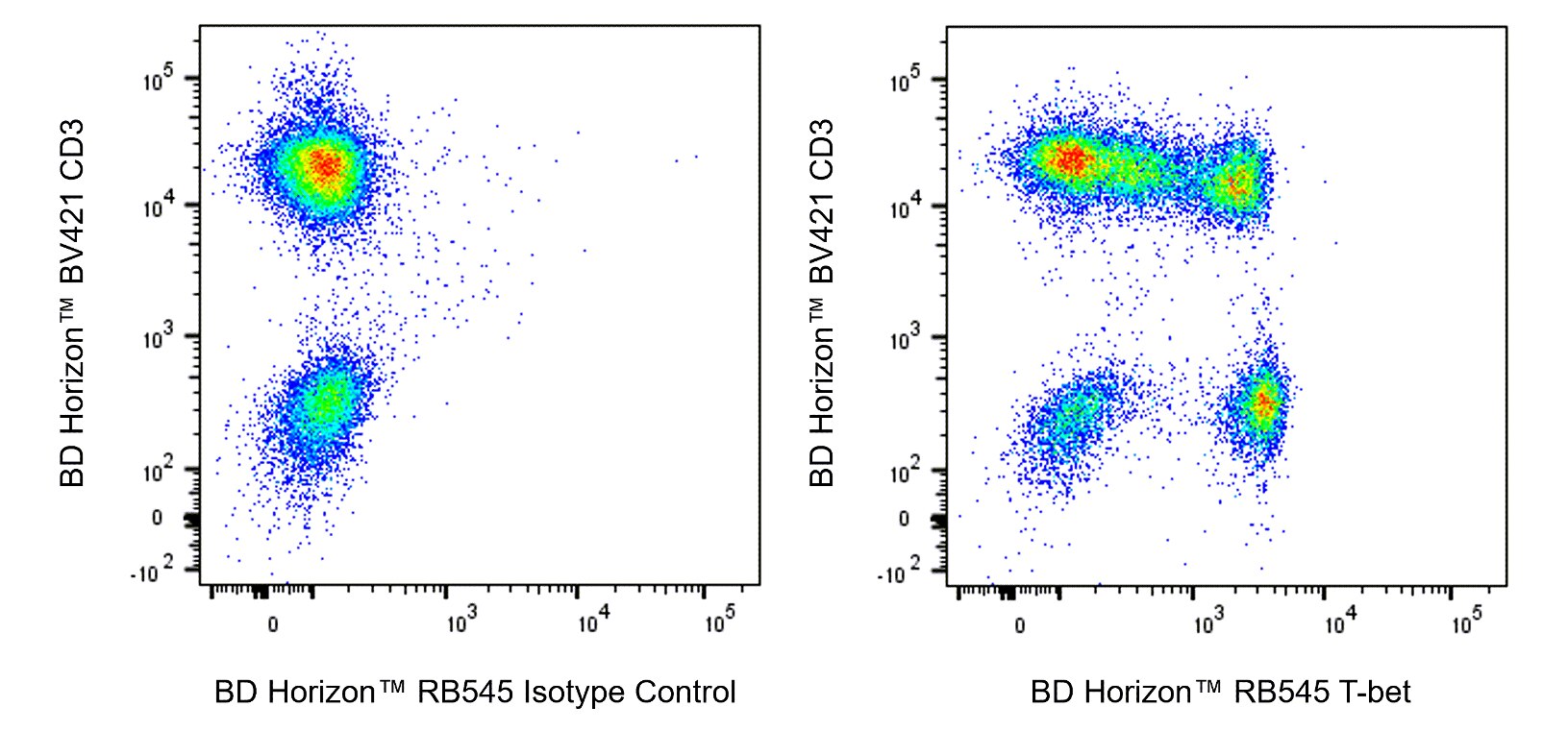 RB545 Mouse Anti-T-bet