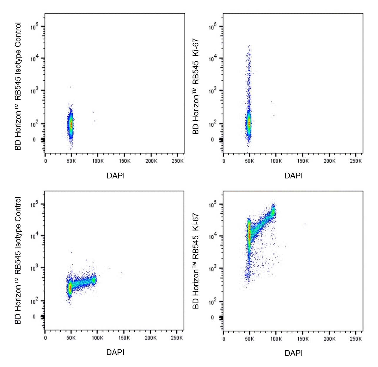 RB545 Mouse Anti-Ki-67