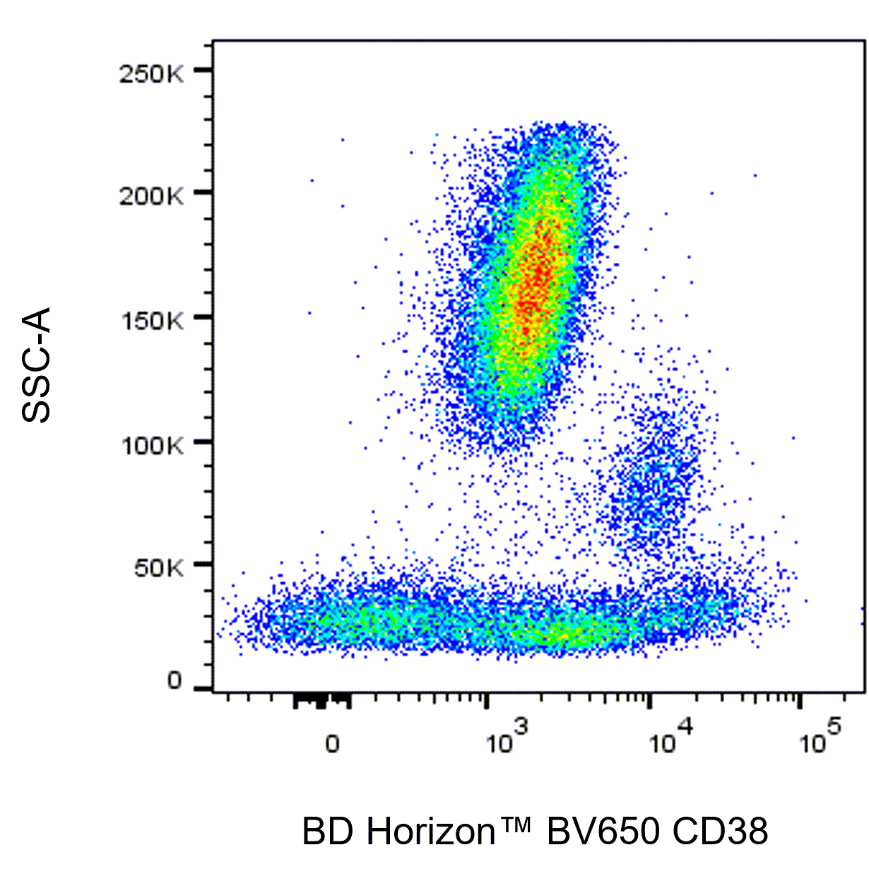 BV650 Mouse Anti-Human CD38