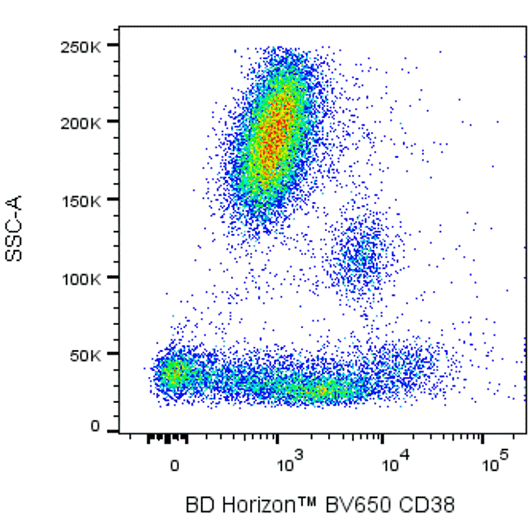 BV650 Mouse Anti-Human CD38