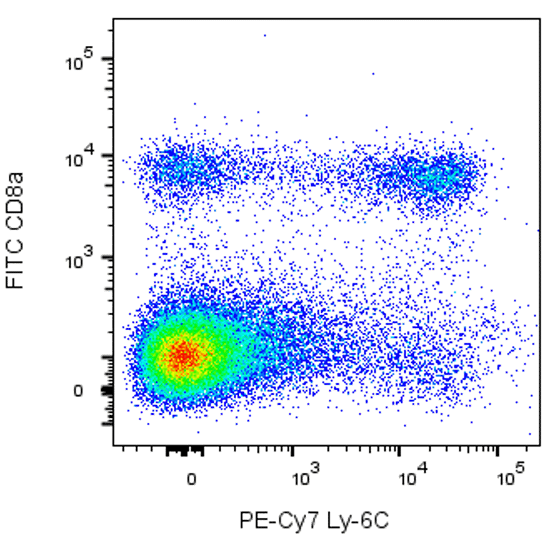 PE-Cy7 Rat Anti-Mouse Ly-6C