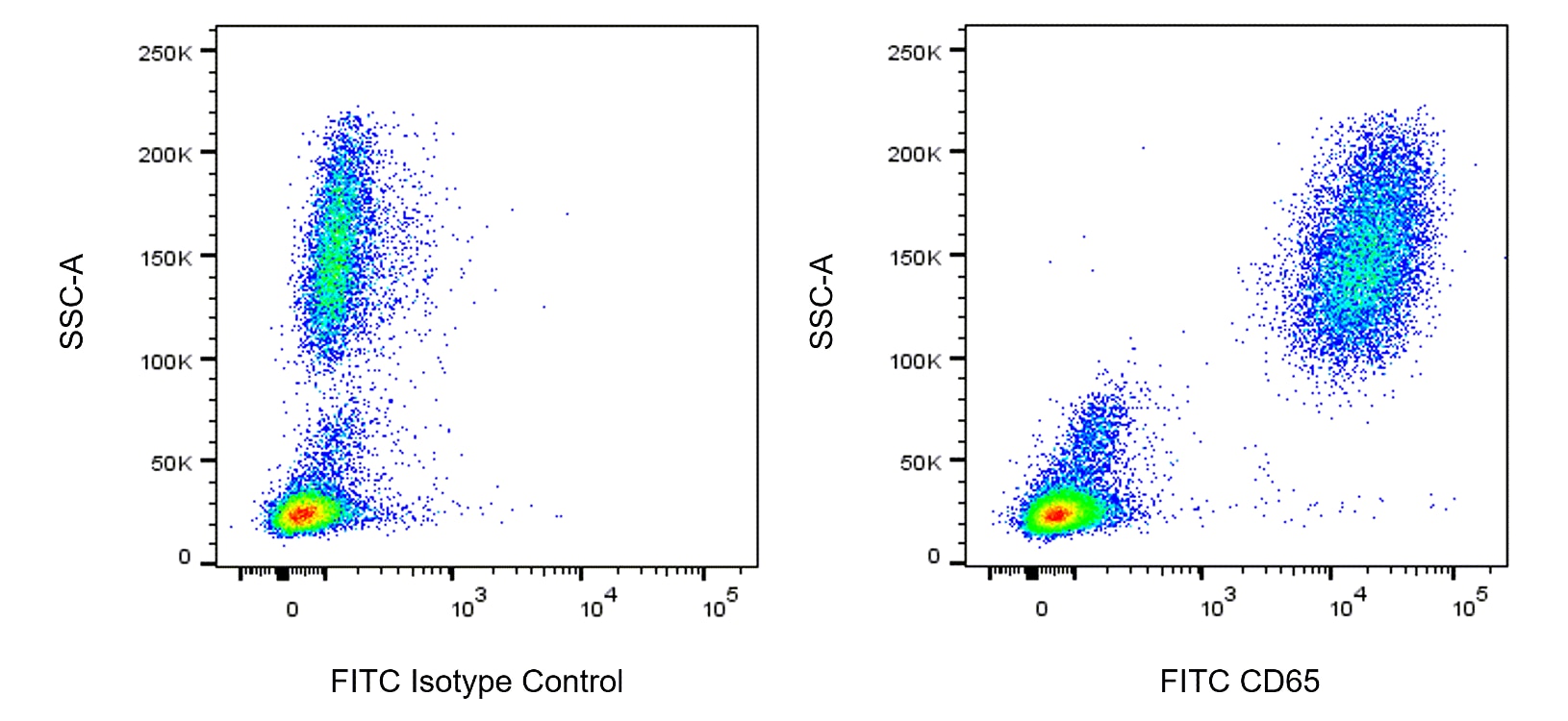 FITC Mouse Anti-Human CD65