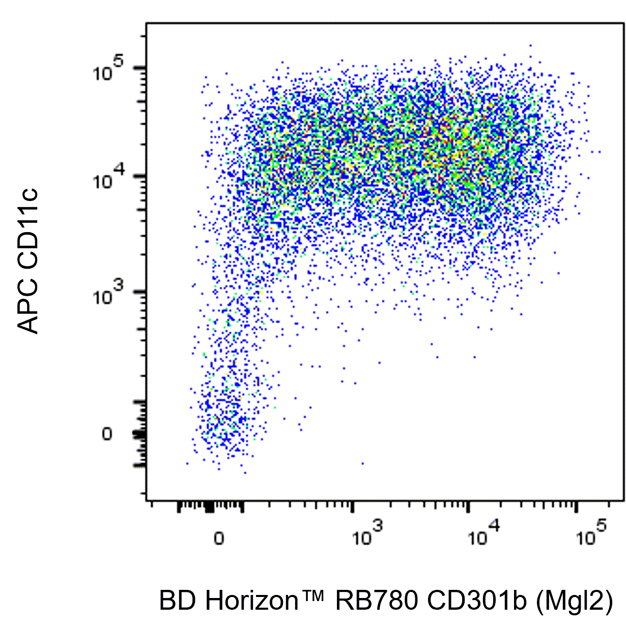 RB780 Rat Anti-Mouse CD301b (Mgl2)