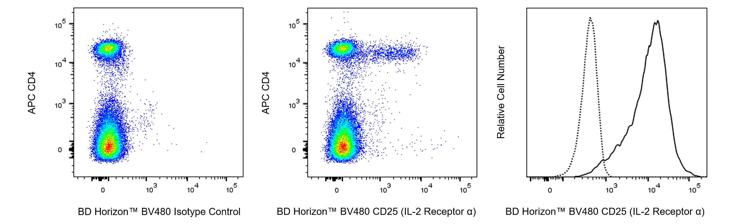 BV480 Rat Anti-Mouse CD25 (IL-2 Receptor α)