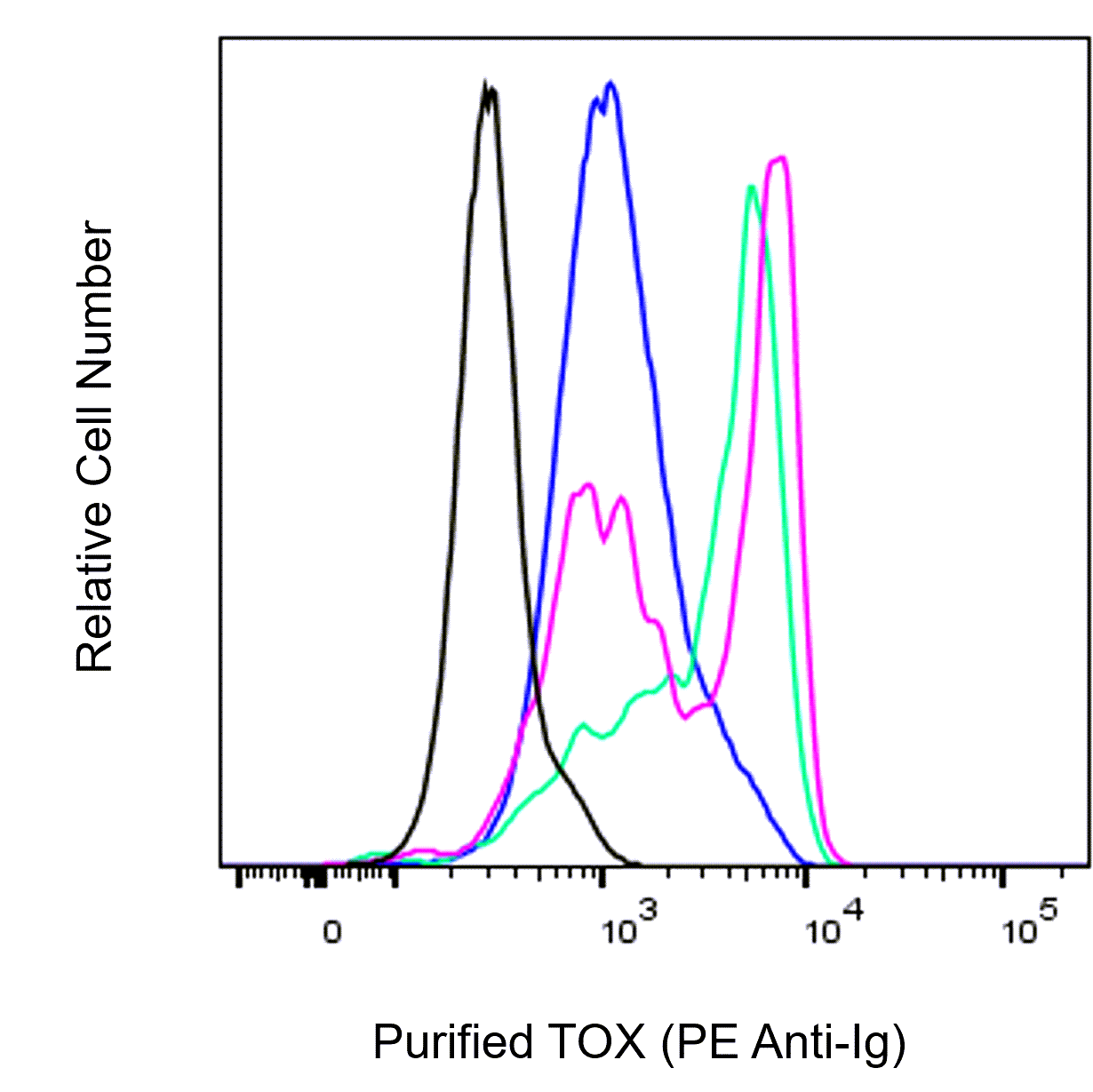 Purified Rat Anti-TOX