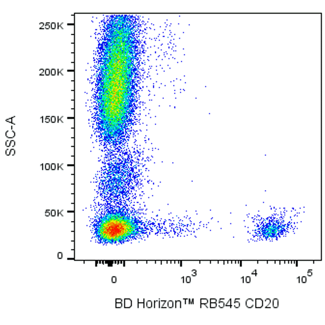 RB545 Mouse Anti-Human CD20