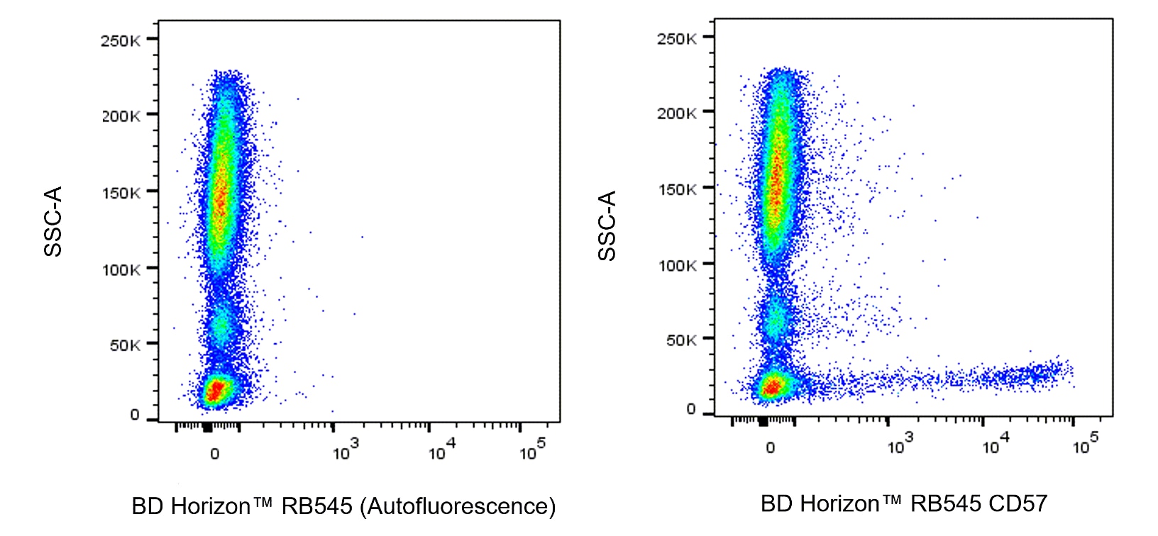RB545 Mouse Anti-Human CD57