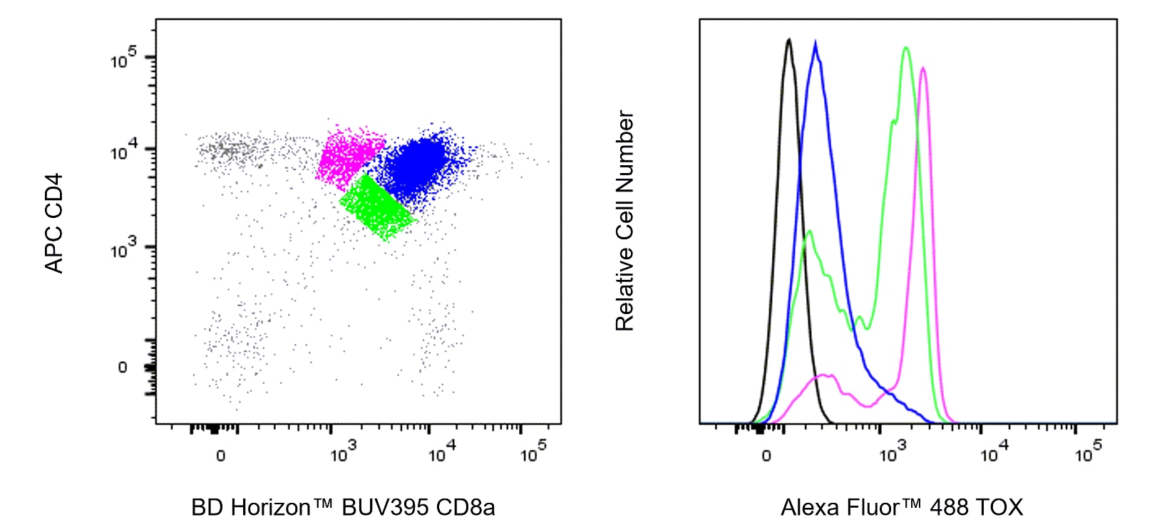 Alexa Fluor™ 488 Rat Anti-TOX