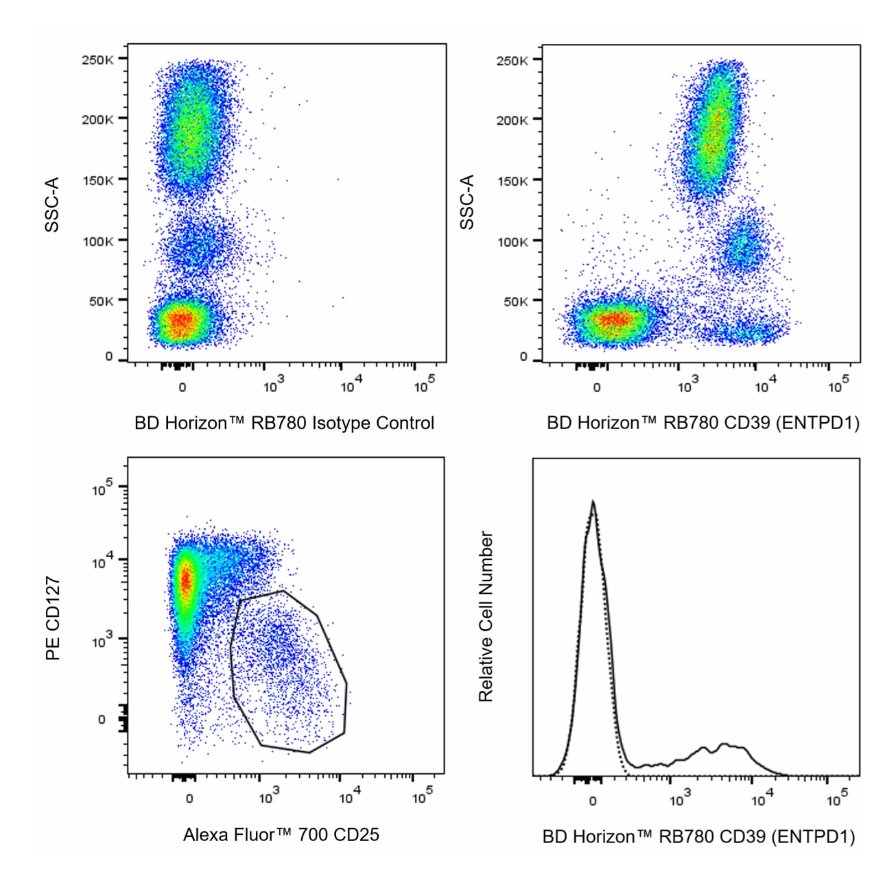 RB780 Mouse Anti-Human CD39 (ENTPD1)