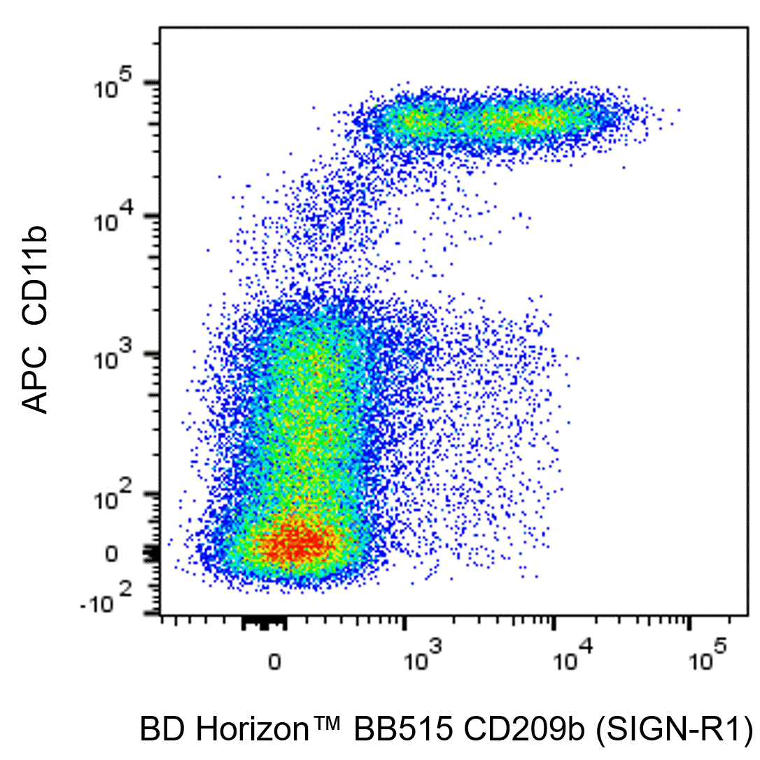 BB515 Rat Anti-Mouse CD209b (SIGN-R1)