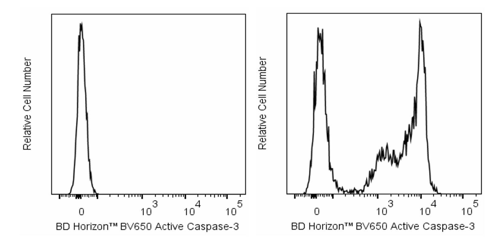BV650 Rabbit Anti-Active Caspase-3
