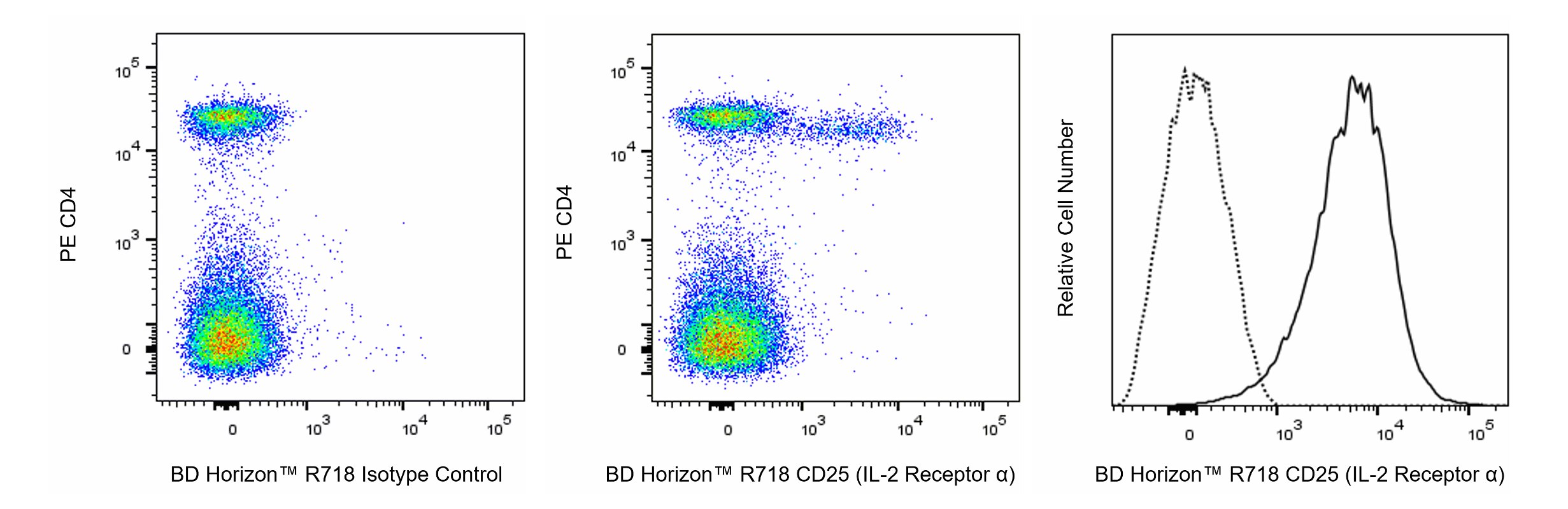 R718 Rat Anti-Mouse CD25 (IL-2 Receptor α)