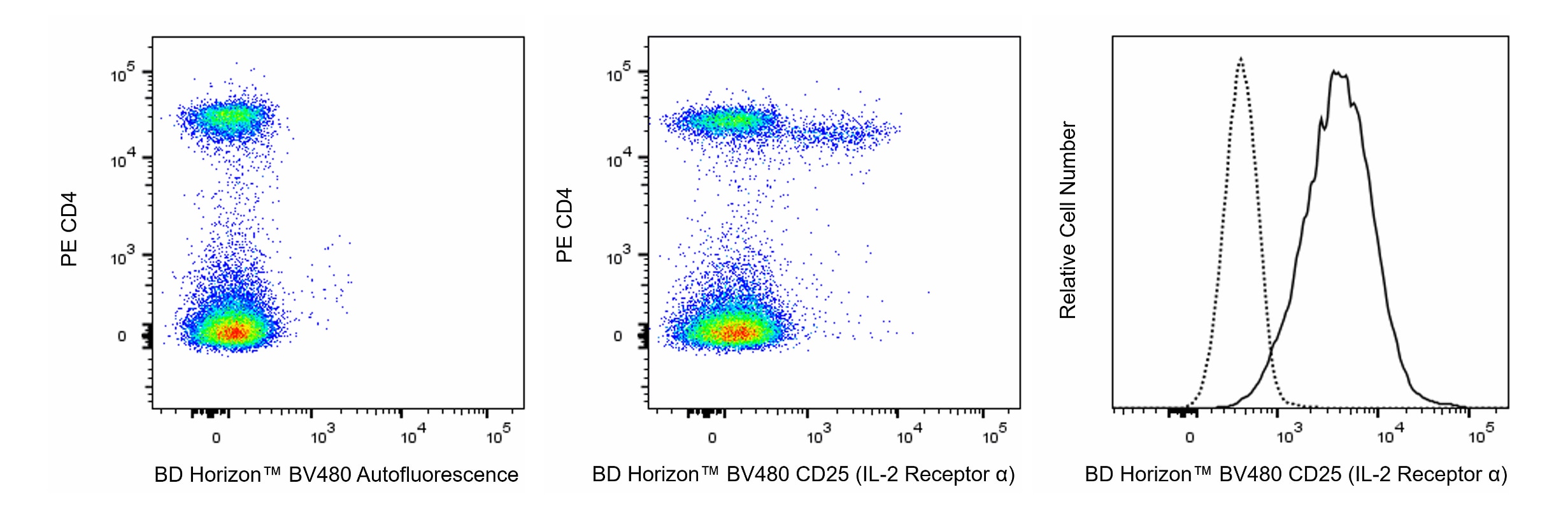 BV480 Rat Anti-Mouse CD25 (IL-2 Receptor α)
