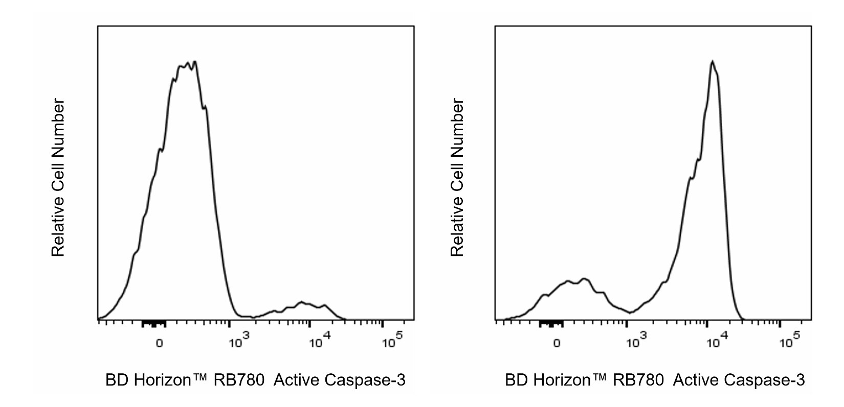 RB780 Rabbit Anti-Active Caspase-3