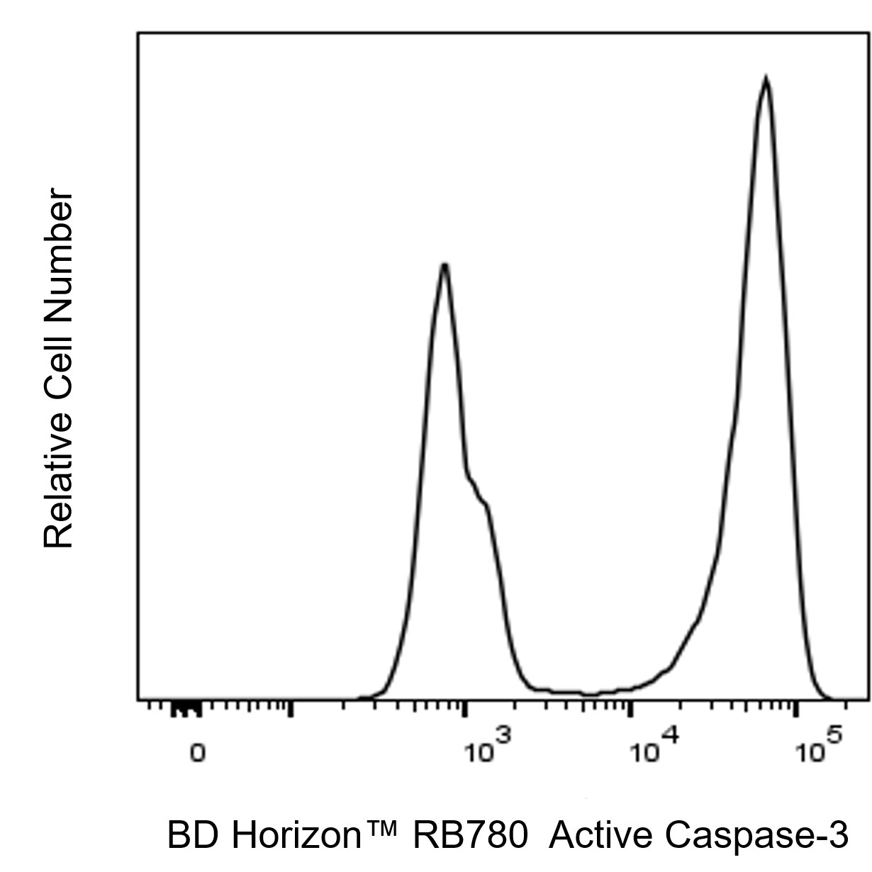 RB780 Rabbit Anti-Active Caspase-3