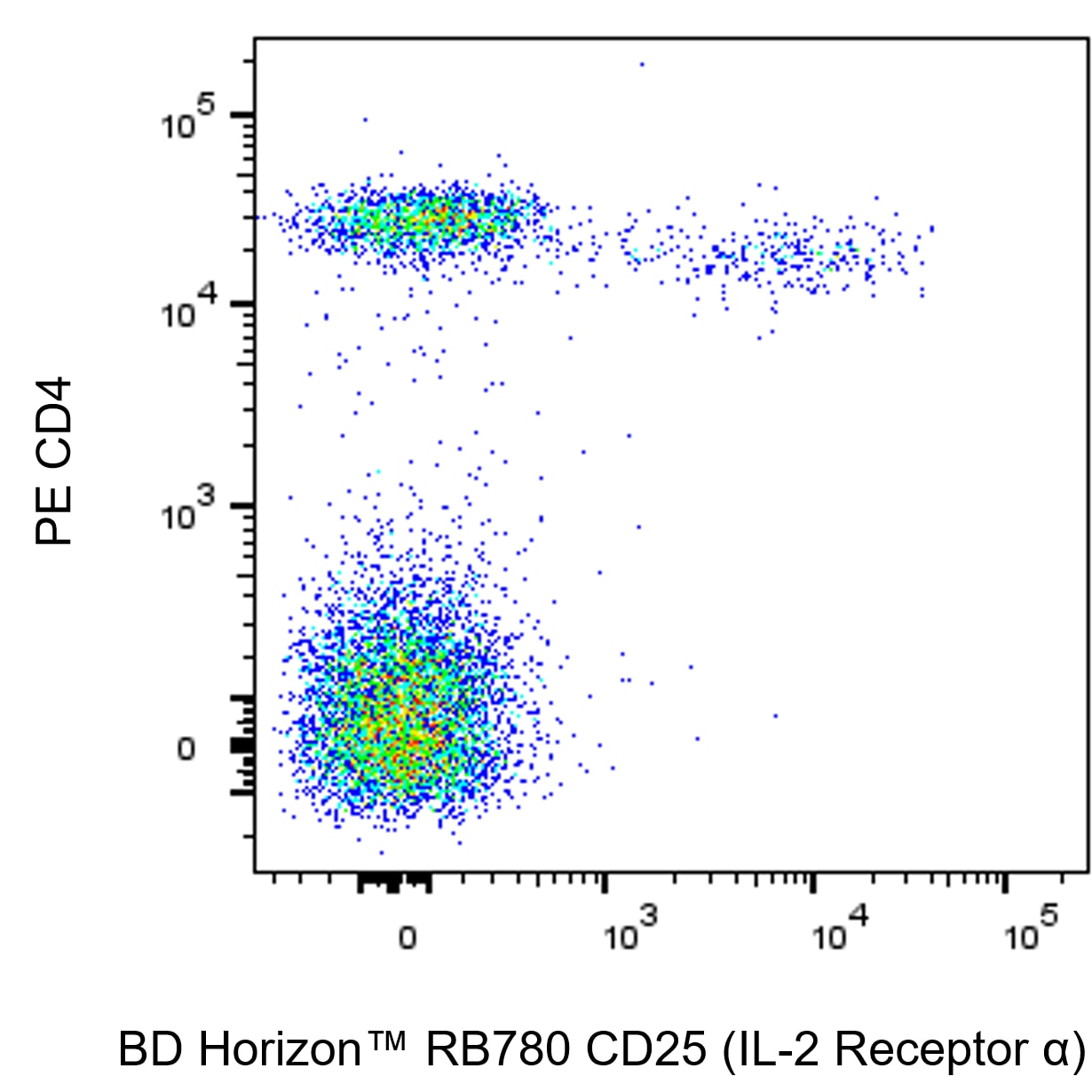 RB780 Rat Anti-Mouse CD25 (IL-2 Receptor α)