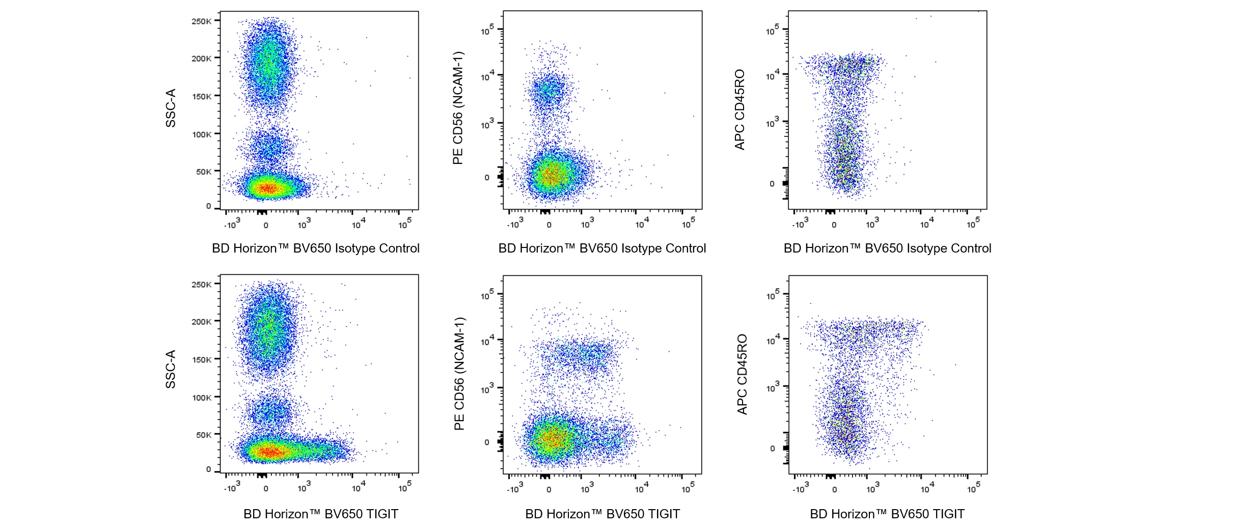BV650 Mouse Anti-Human TIGIT
