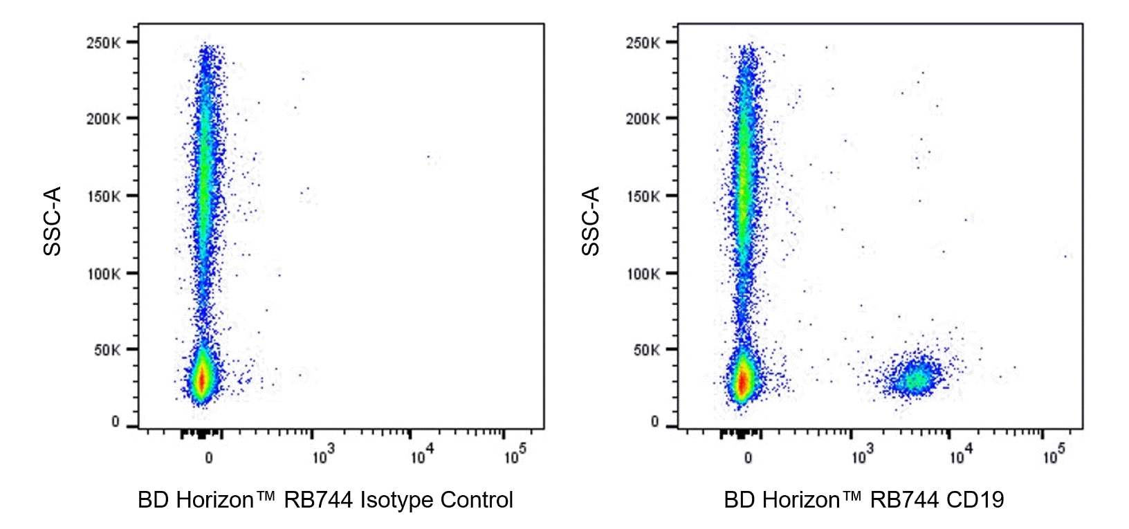 RB744 Mouse Anti-Human CD19