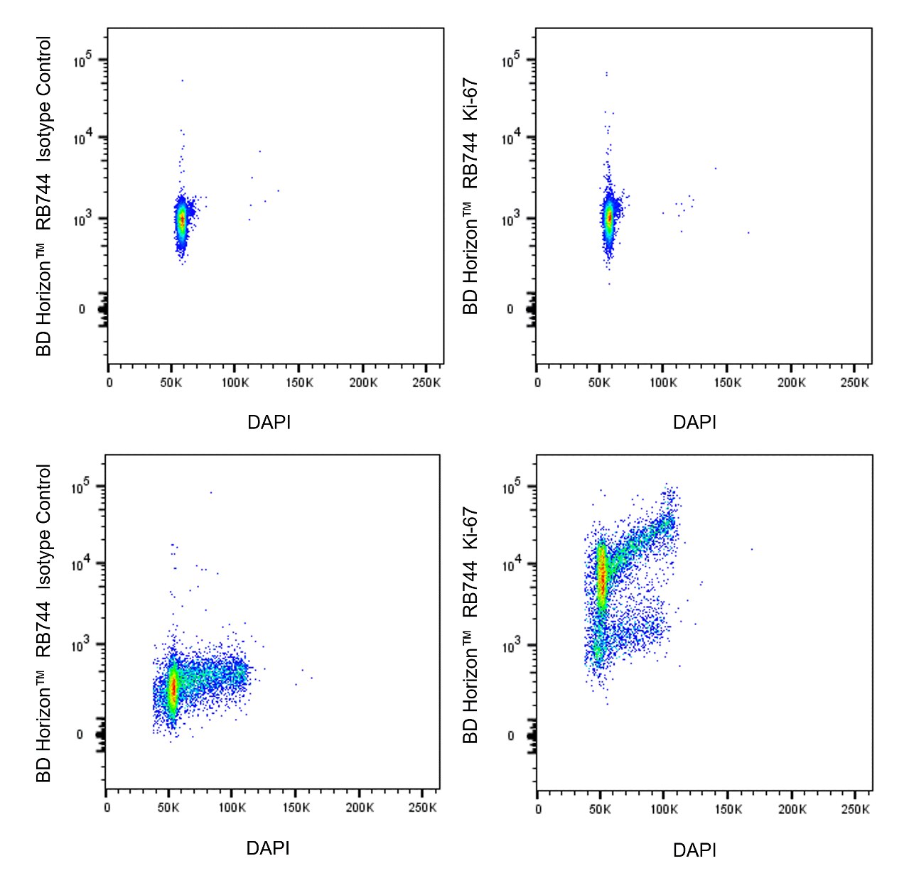RB744 Mouse Anti-Ki-67