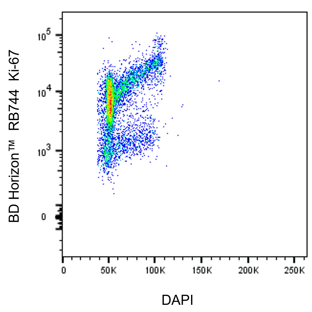 RB744 Mouse Anti-Ki-67