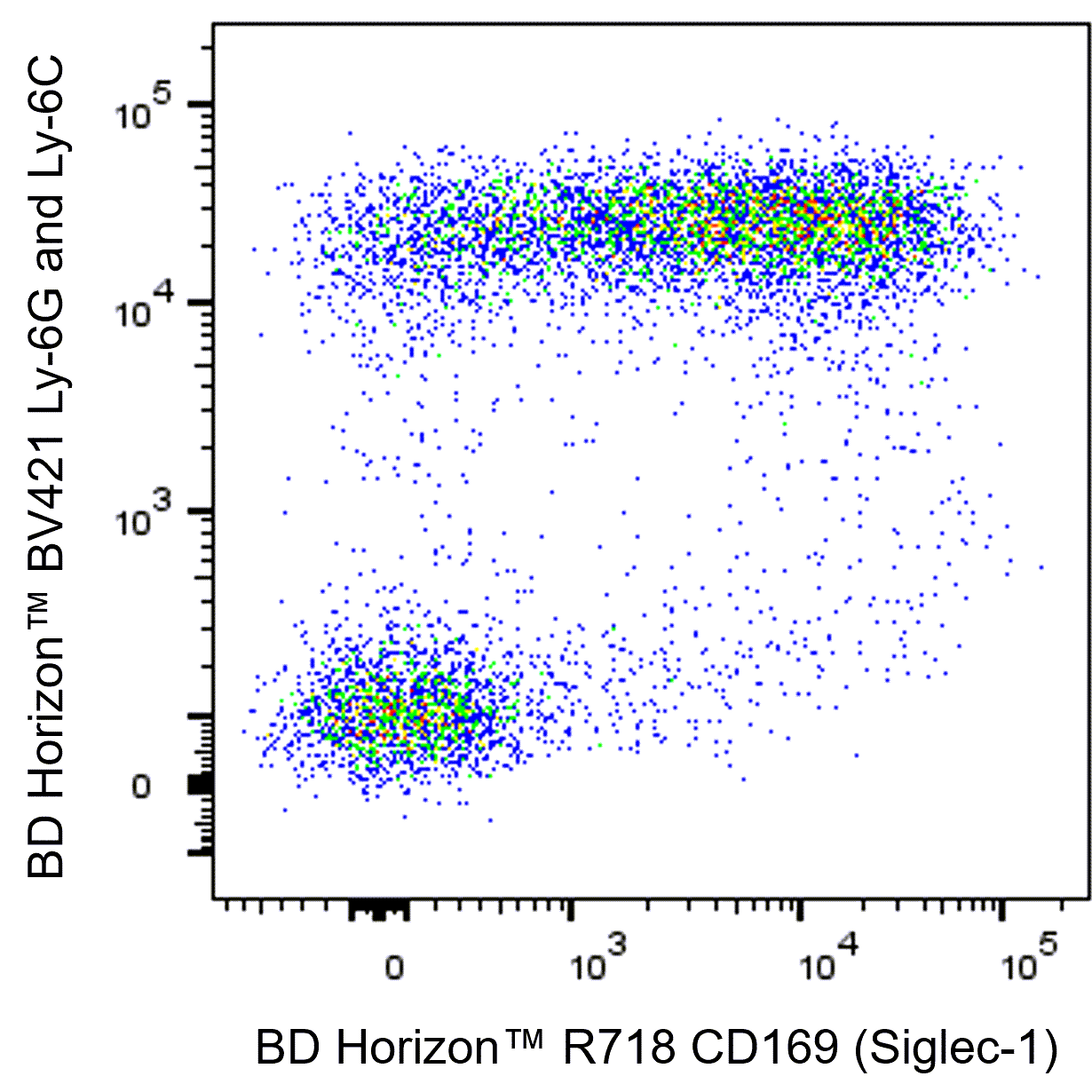 R718 Rat Anti-Mouse CD169 (Siglec-1)
