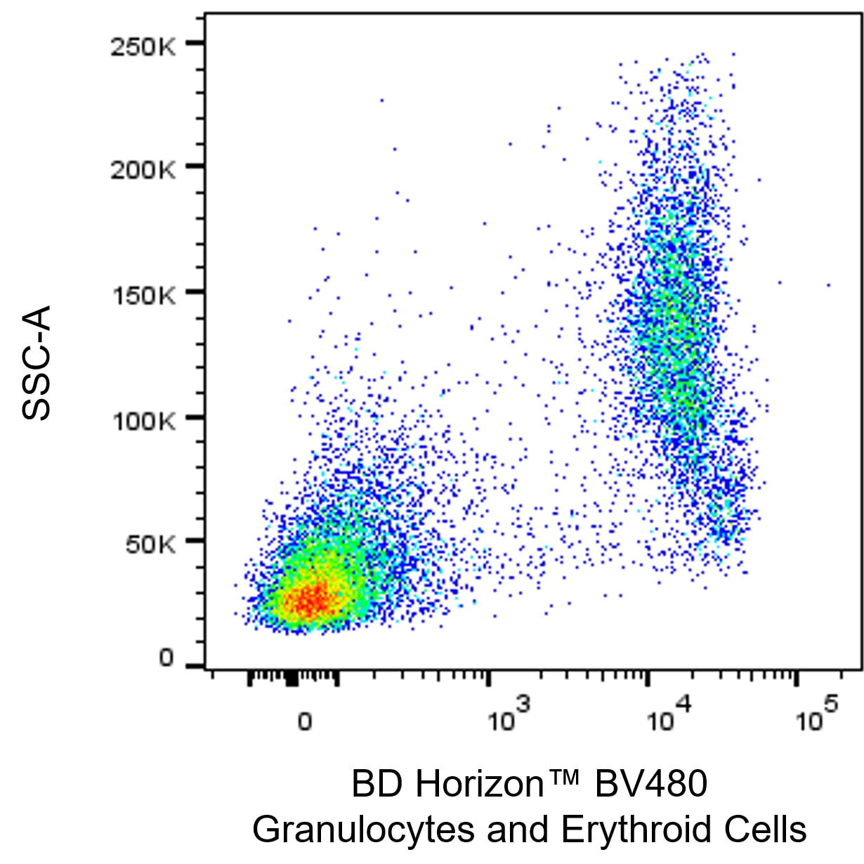 BV480 Mouse Anti-Rat Granulocytes and Erythroid Cells