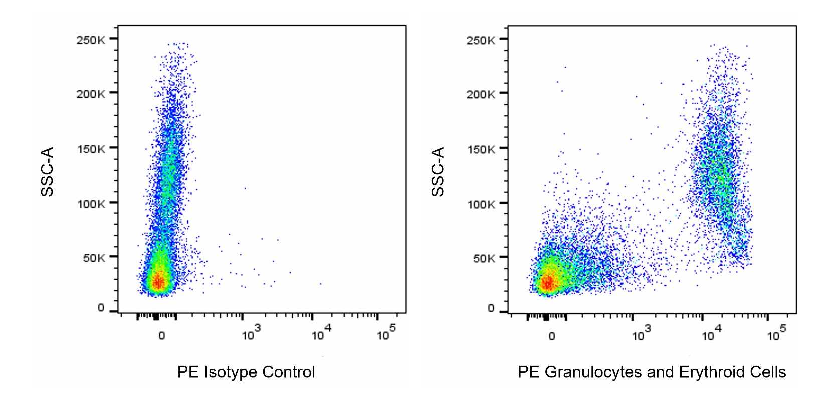 PE Mouse Anti-Rat Granulocytes and Erythroid Cells