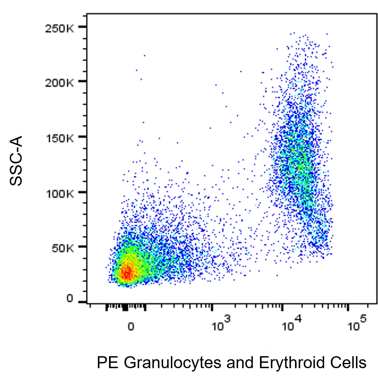 PE Mouse Anti-Rat Granulocytes and Erythroid Cells