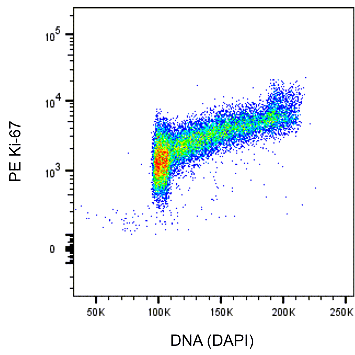 PE Mouse Anti-Human Ki-67