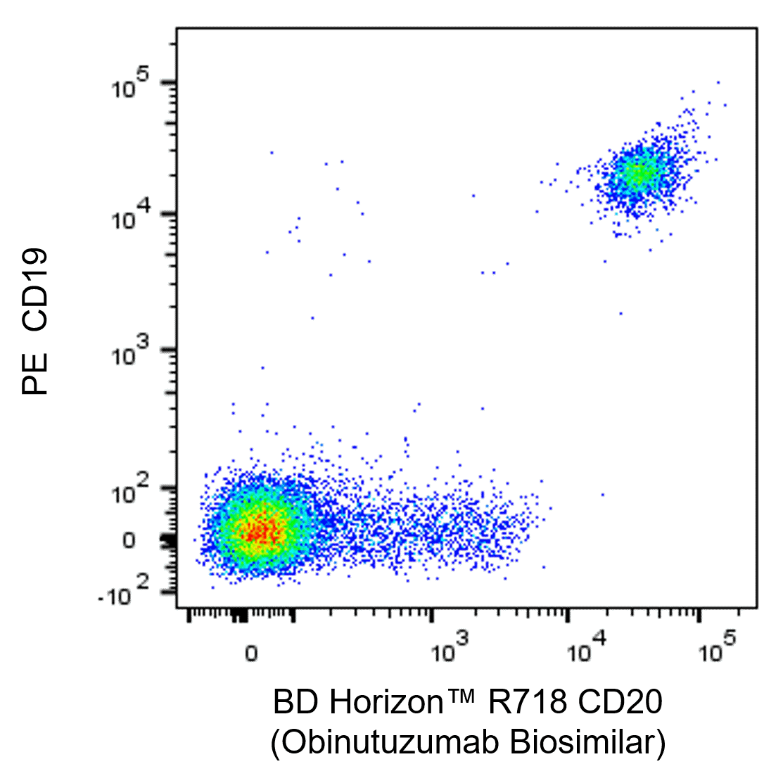 R718 Biosimilar Anti-Human CD20