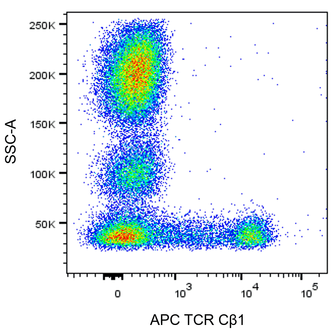 APC Mouse Anti-Human TCR Cβ1