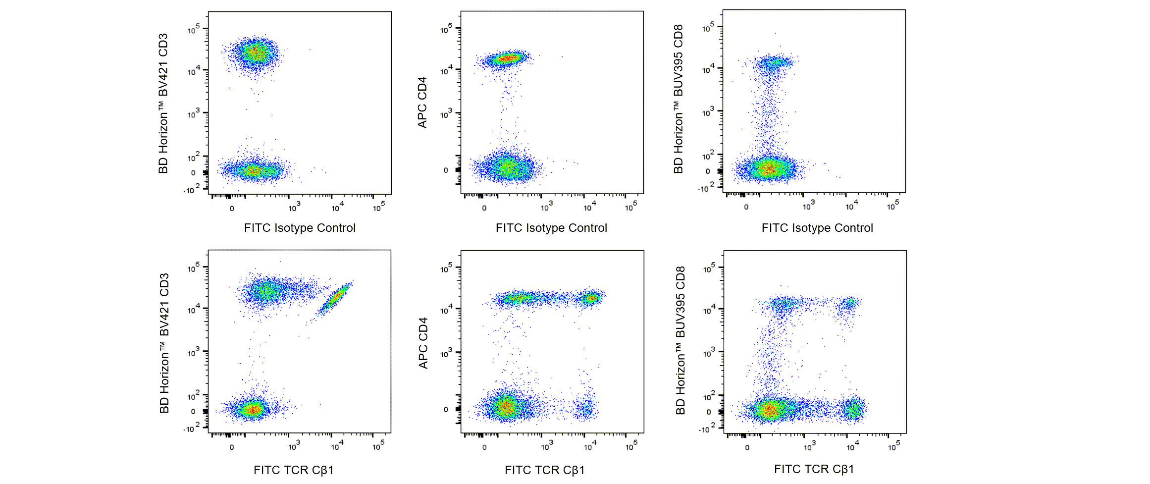 FITC Mouse Anti-Human TCR Cβ1