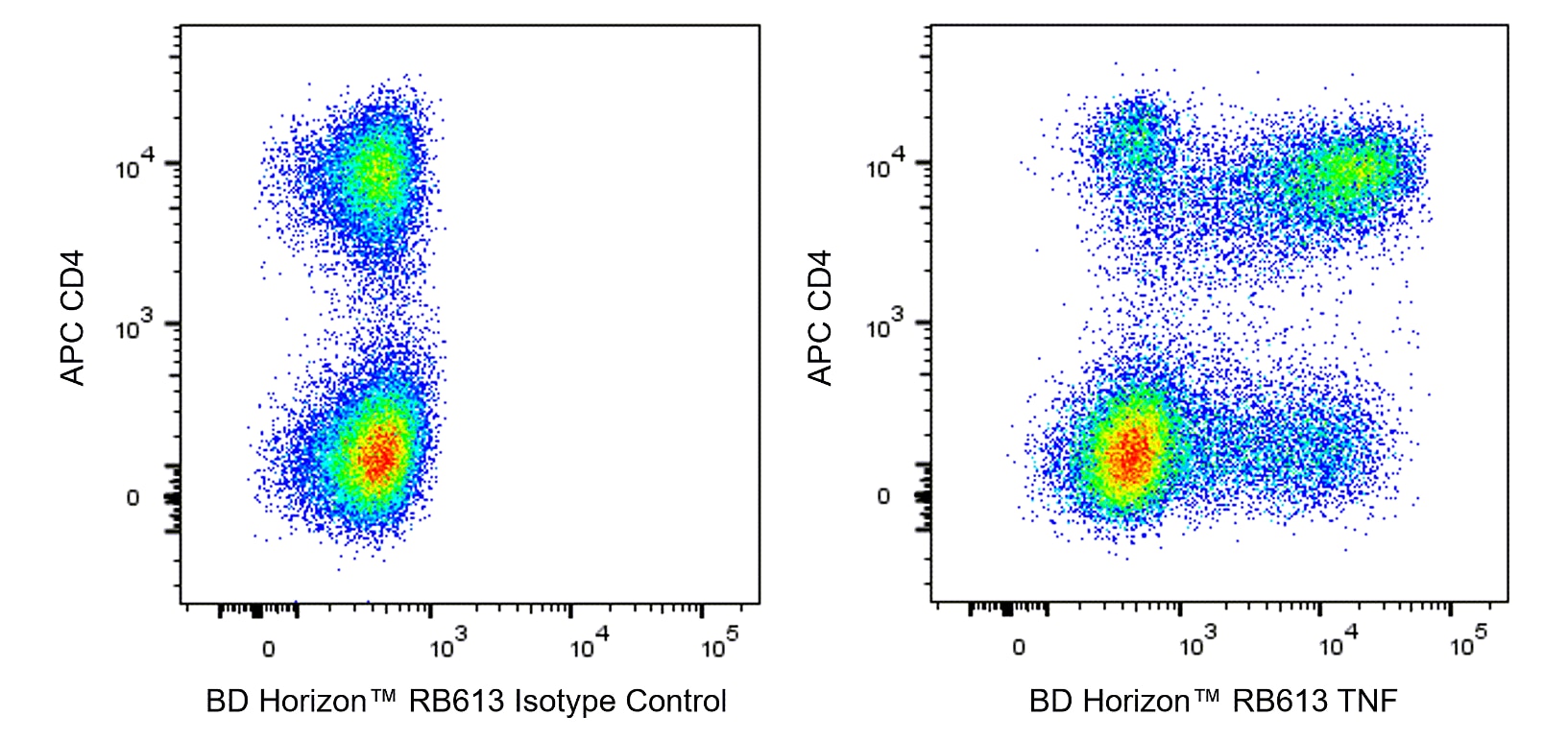RB613 Rat Anti-Mouse TNF