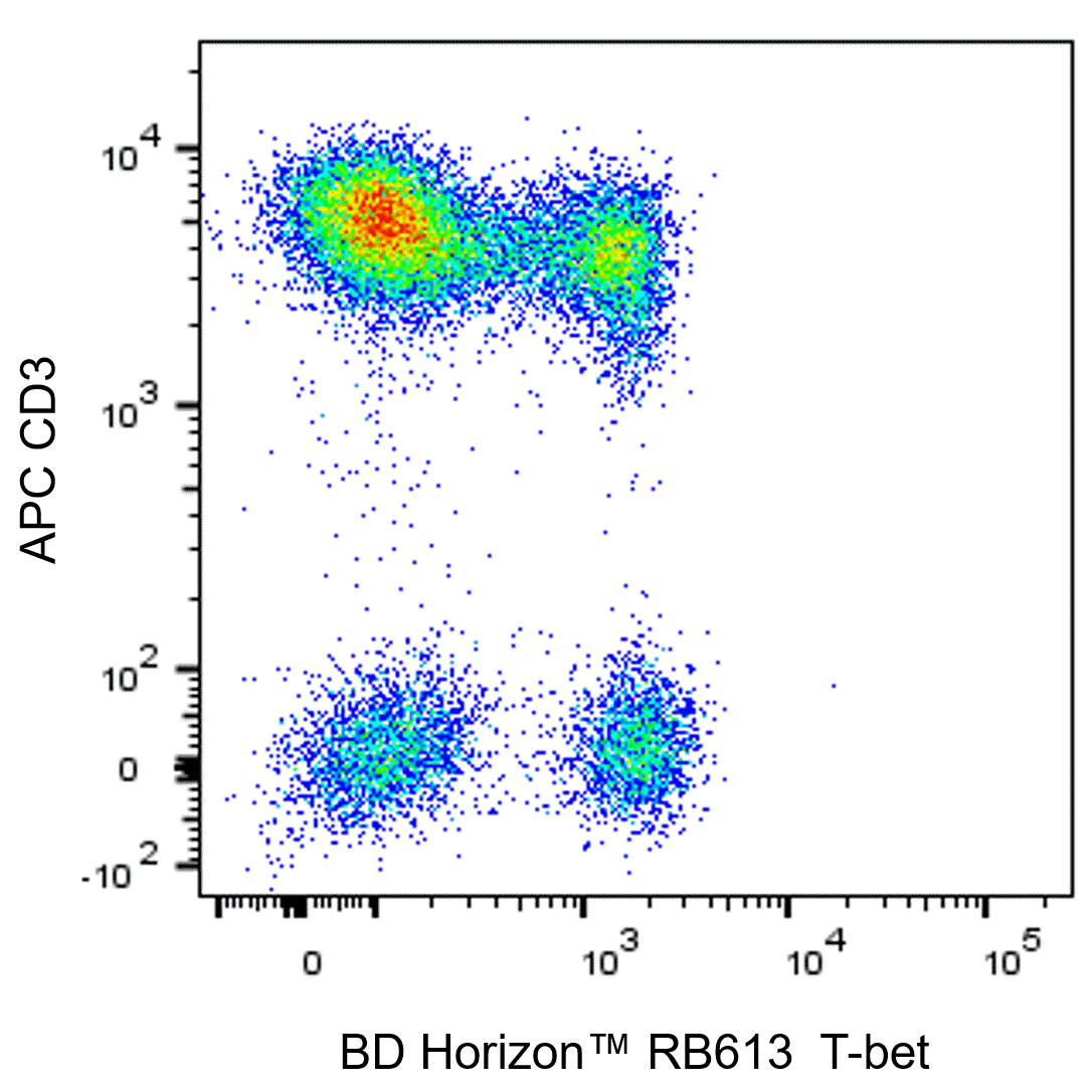 RB613 Mouse Anti-T-bet