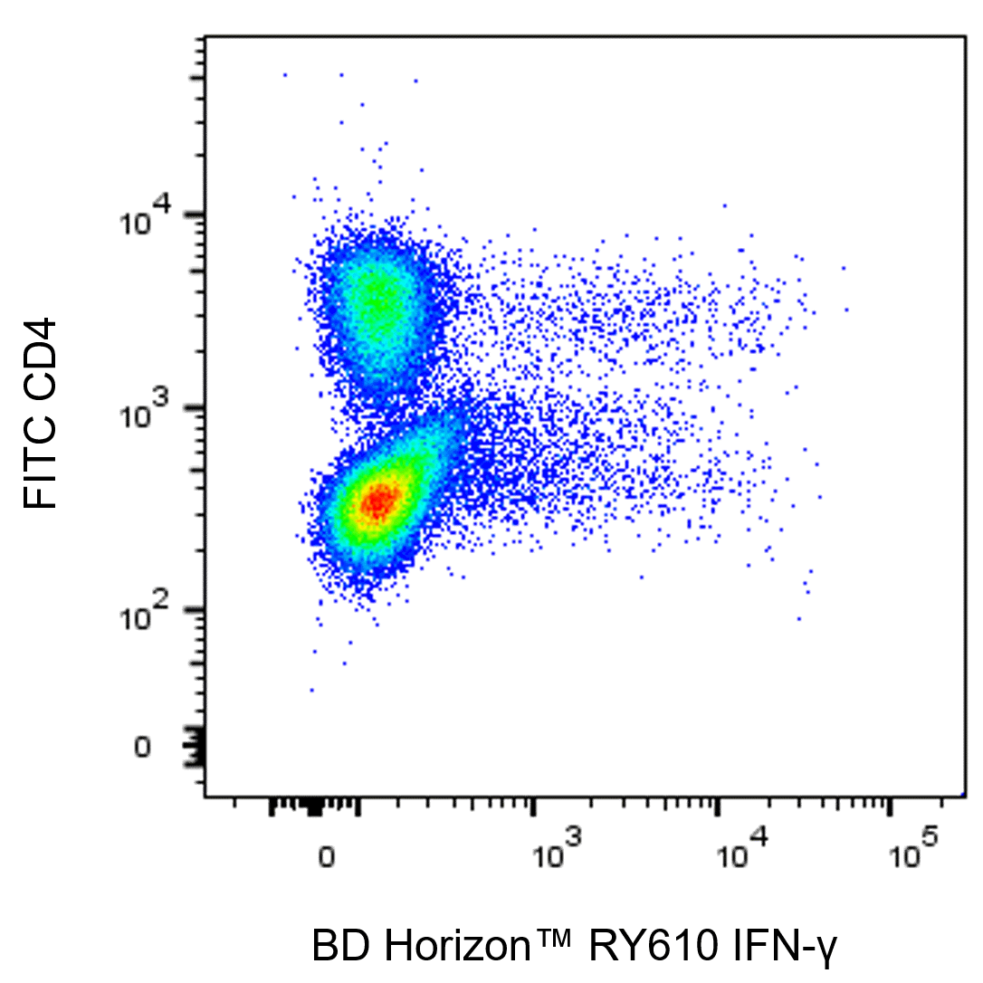 RY610 Rat Anti-Mouse IFN-γ