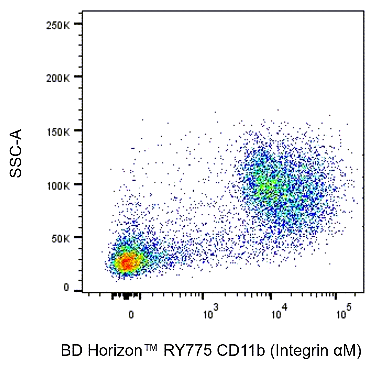 RY775 Rat Anti-CD11b (Integrin αM)