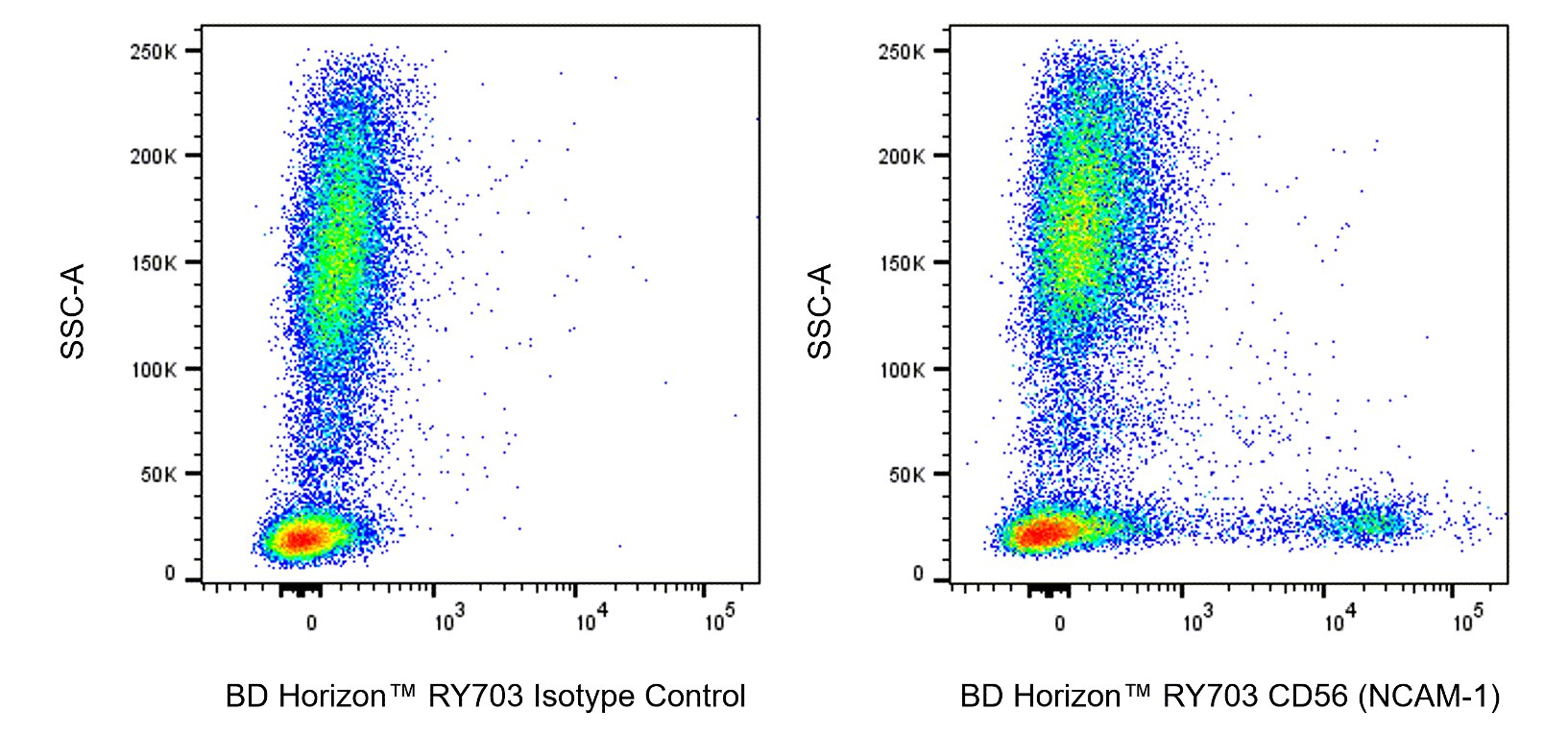 RY703 Mouse Anti-Human CD56 (NCAM-1)