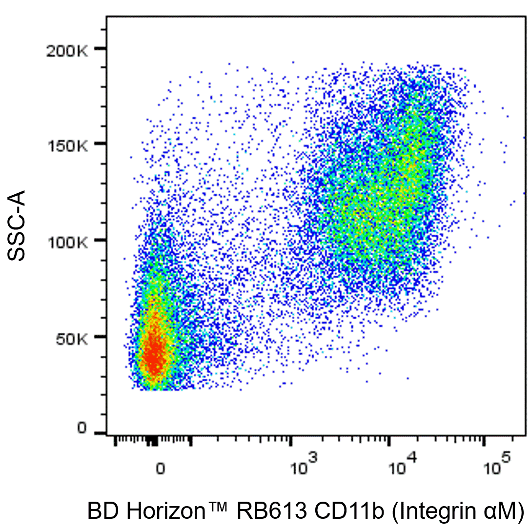 RB613 Rat Anti-CD11b (Integrin αM)