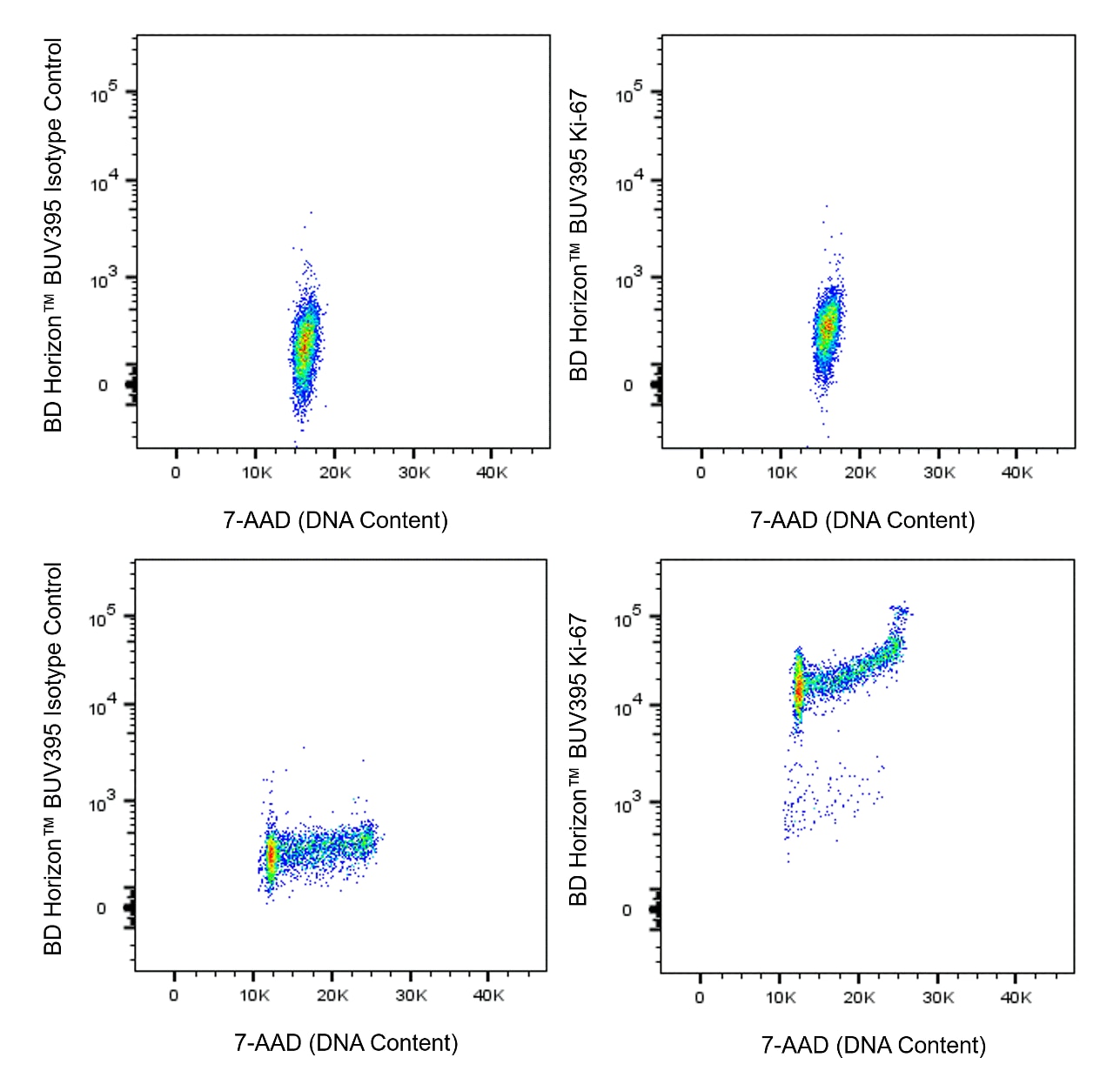 BUV395 Mouse Anti-Human Ki-67