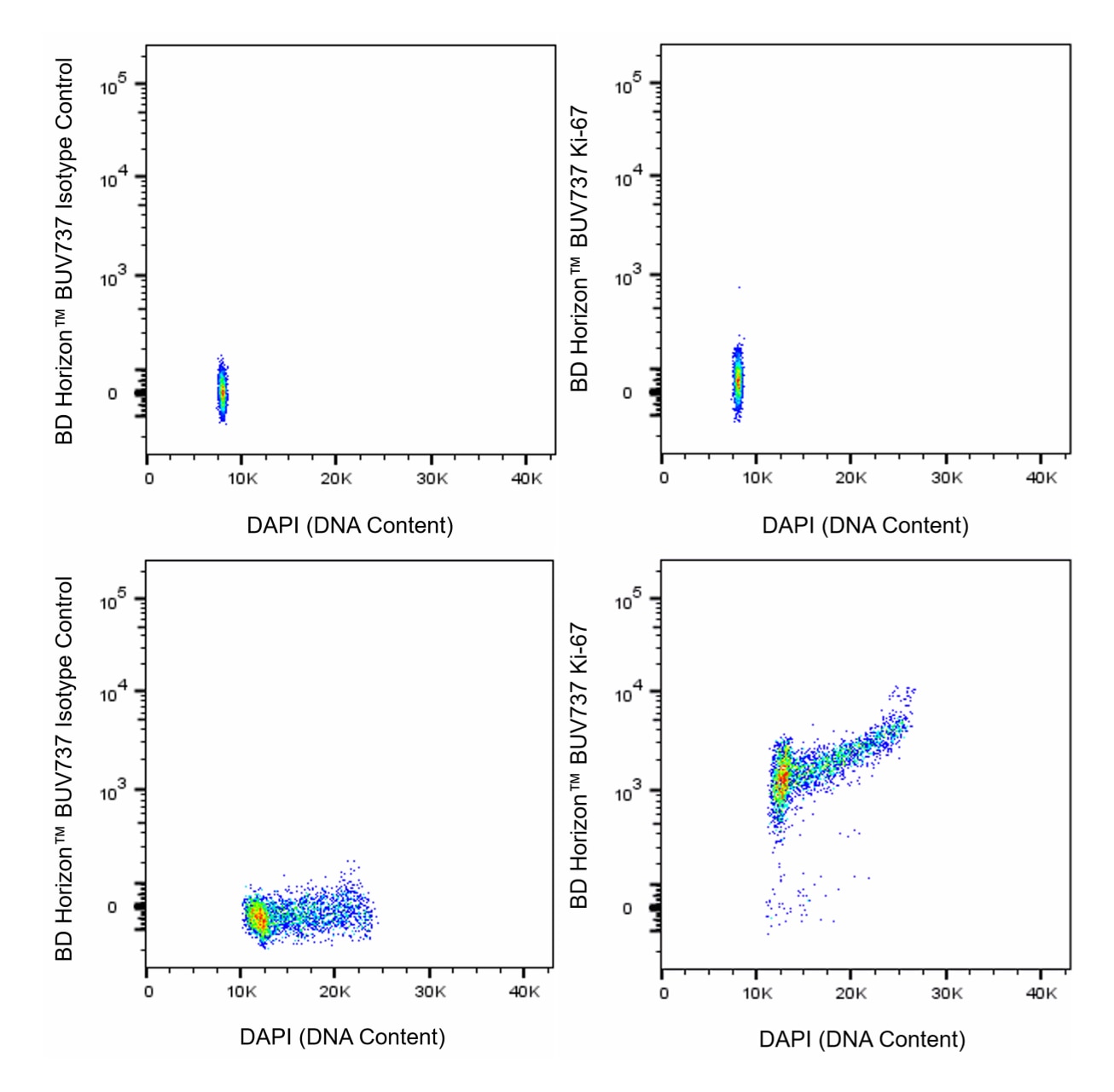 BUV737 Mouse Anti-Human Ki-67