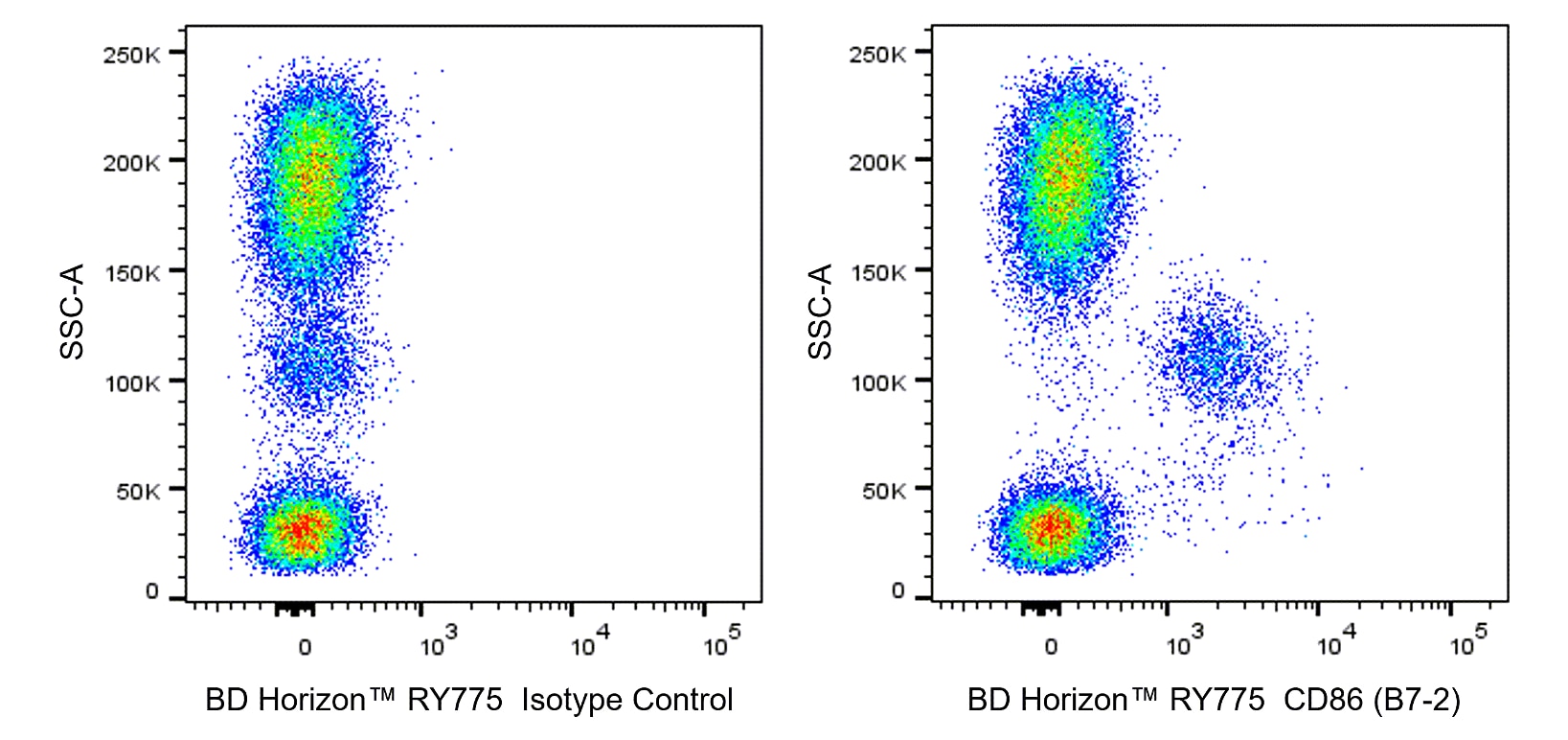 RY775 Mouse Anti-Human CD86 (B7-2)