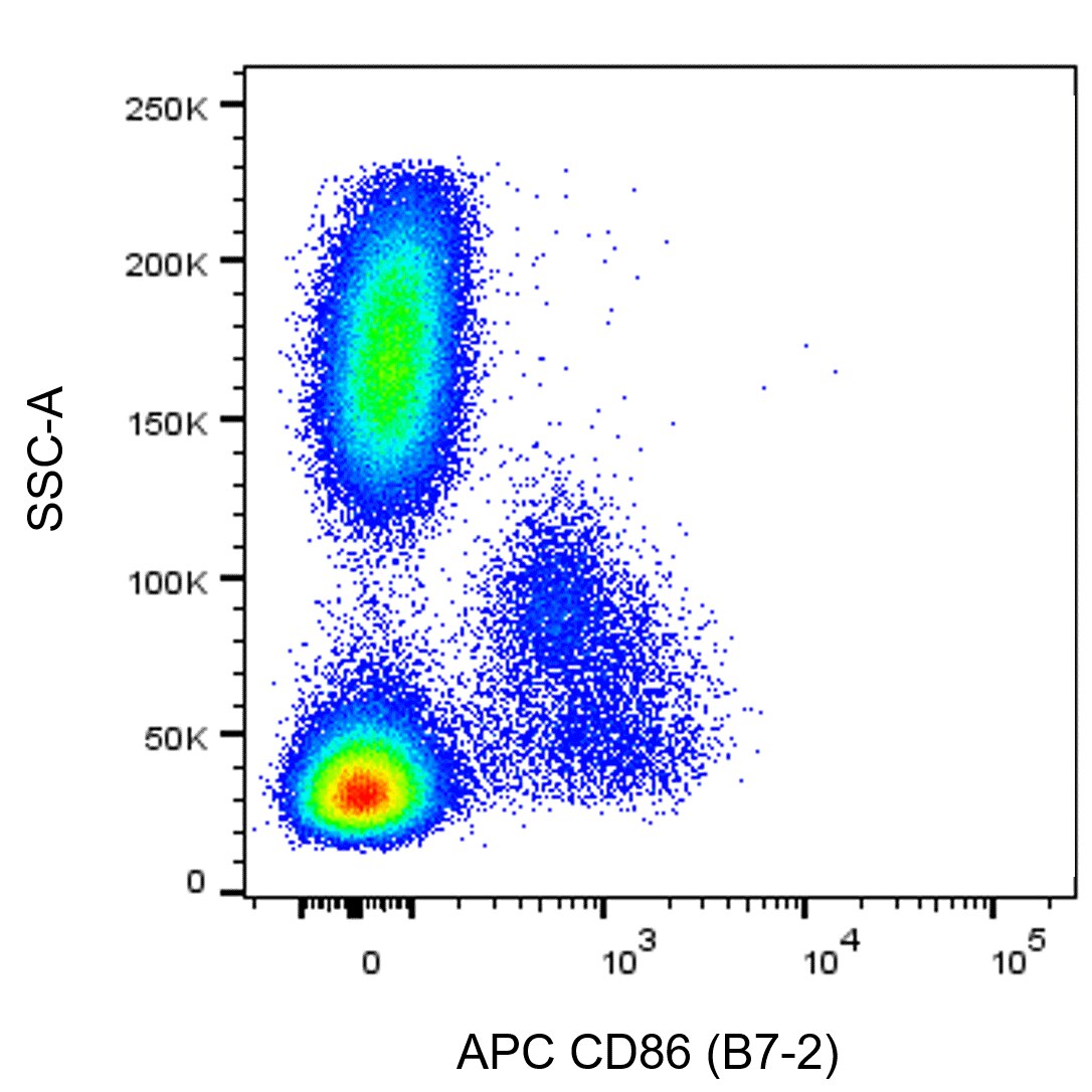 APC Mouse Anti-Human CD86 (B7-2)