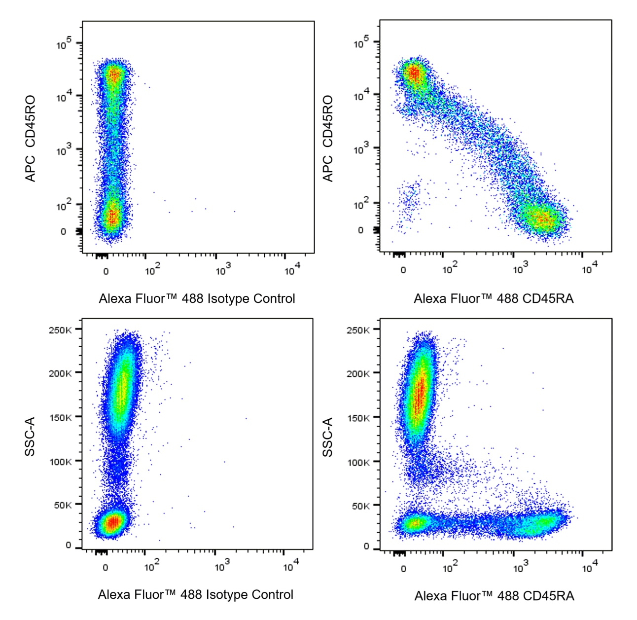 Alexa Fluor™ 488 Mouse Anti-Human CD45RA