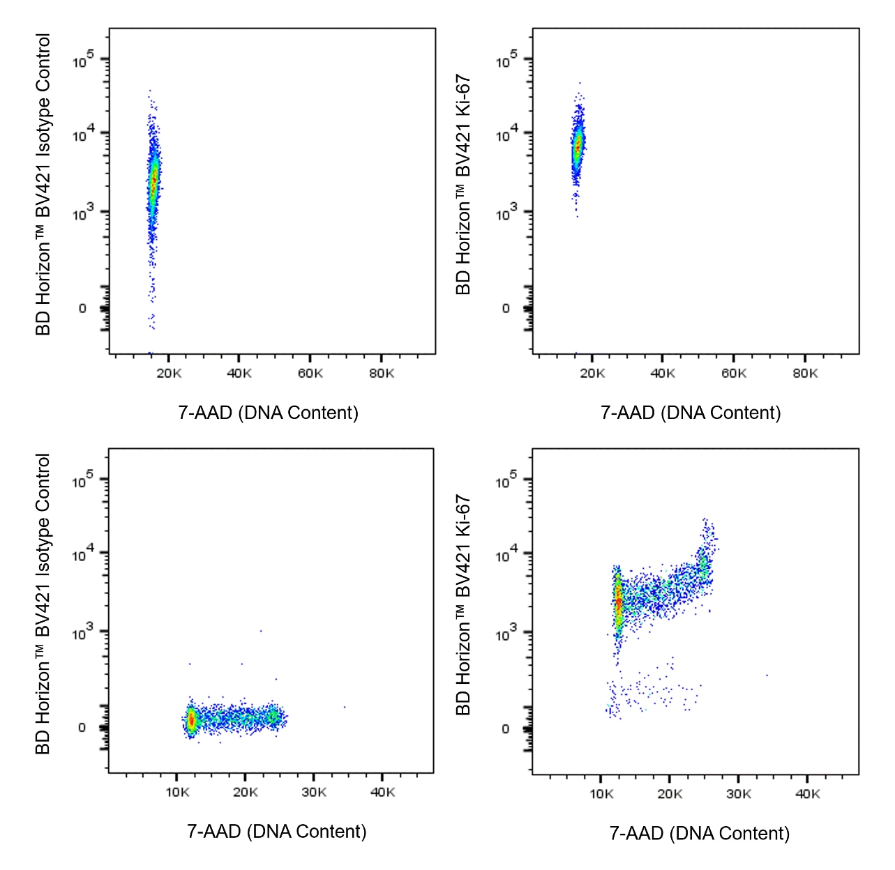 BV421 Mouse Anti-Human Ki-67