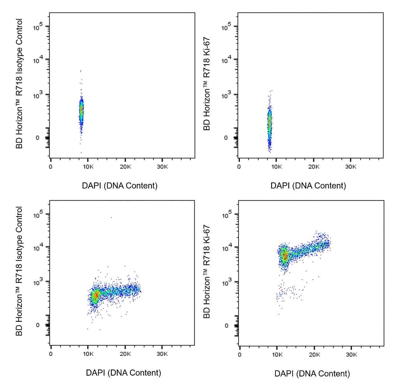 R718 Mouse Anti-Human Ki-67