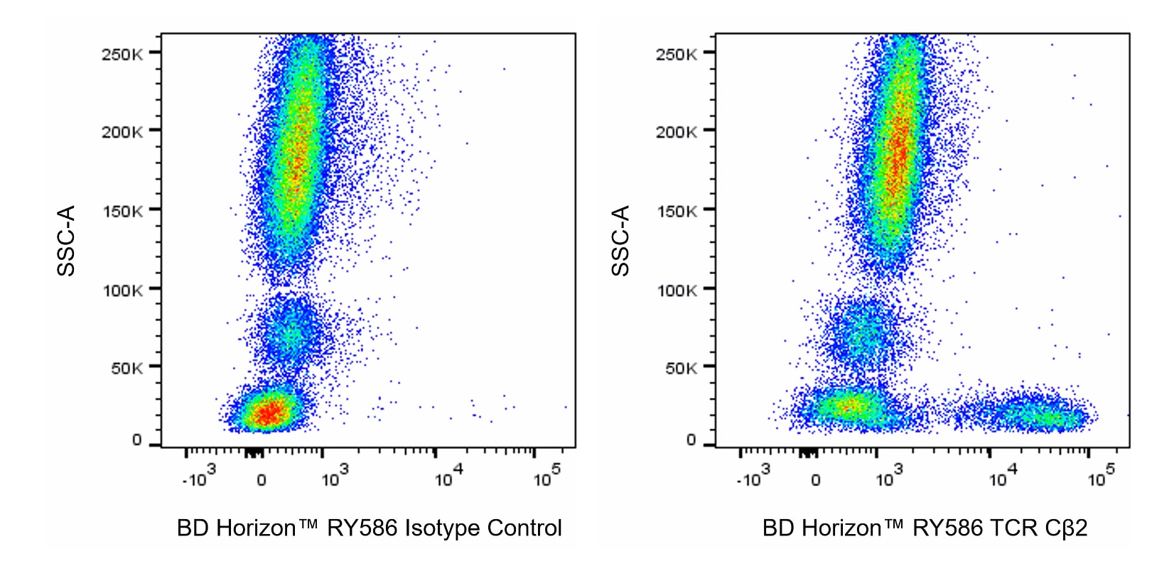 RY586 Mouse Anti-Human TCR Cβ2