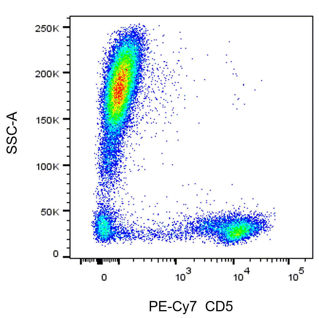 PE-Cy7 Mouse Anti-Human CD5