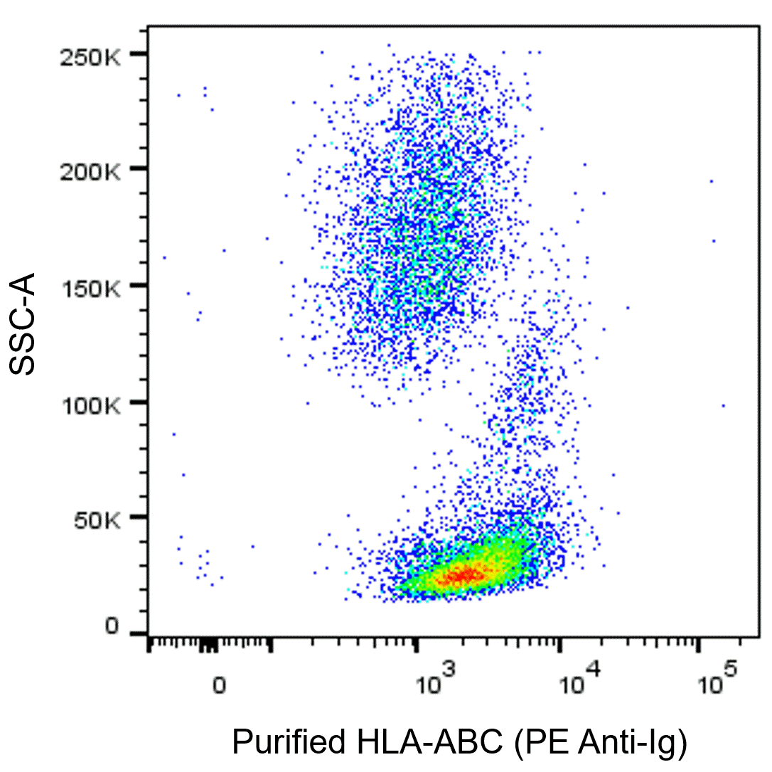 Purified Mouse Anti-Human HLA-ABC