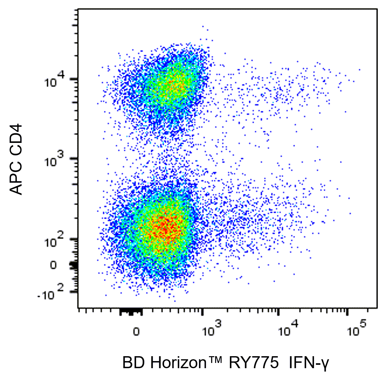 RY775 Rat Anti-Mouse IFN-γ